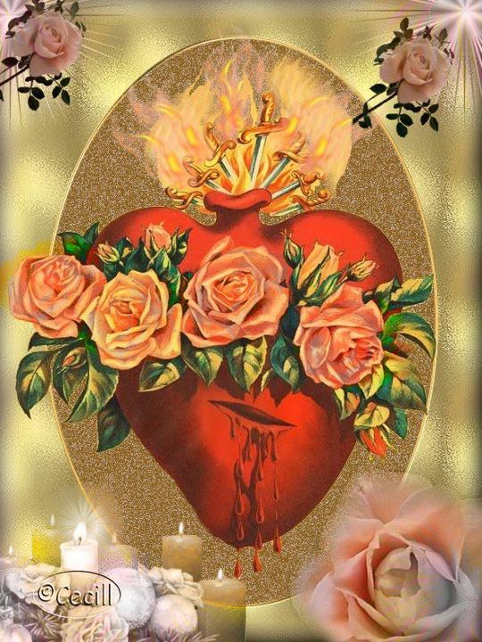 ® Virgen María, Ruega por Nosotros ®: IMAGENES DEL INMACULADO CORAZÓN ...