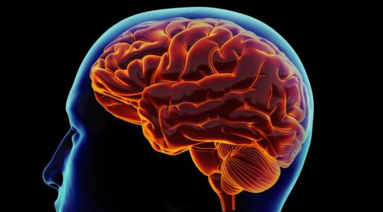 Harian Kita: Luar Biasa !!! Ternyata, Otak Masih Bekerja Setelah ...