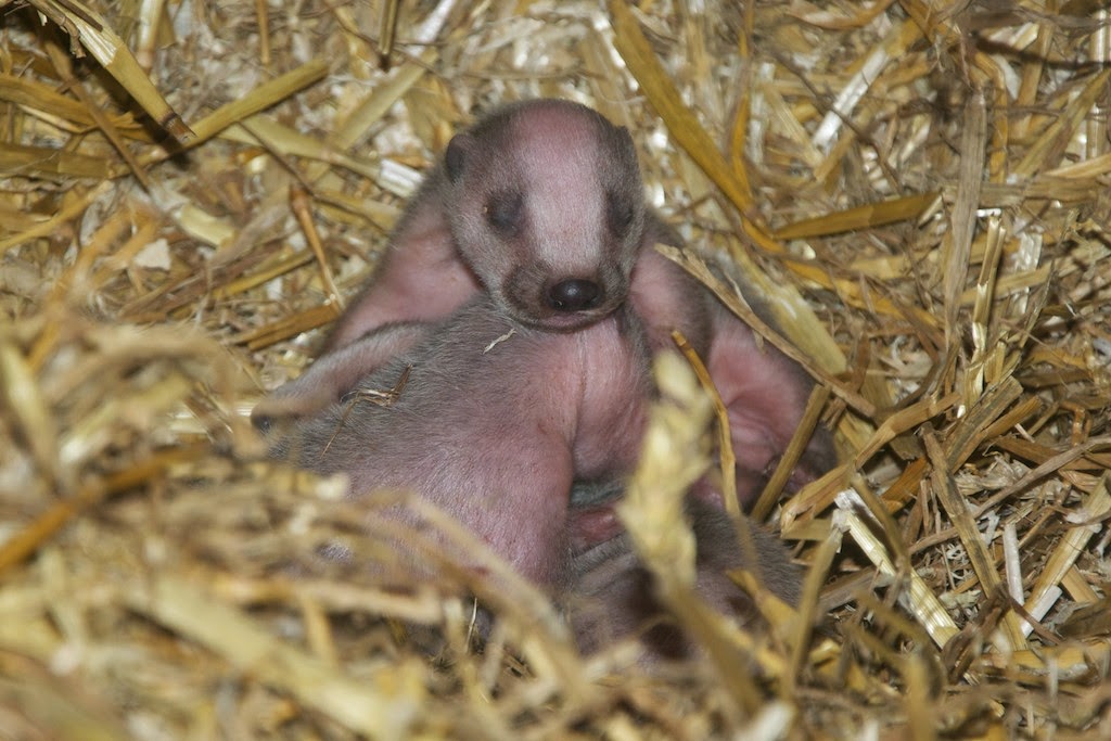 Matt's Photos: What to expect...