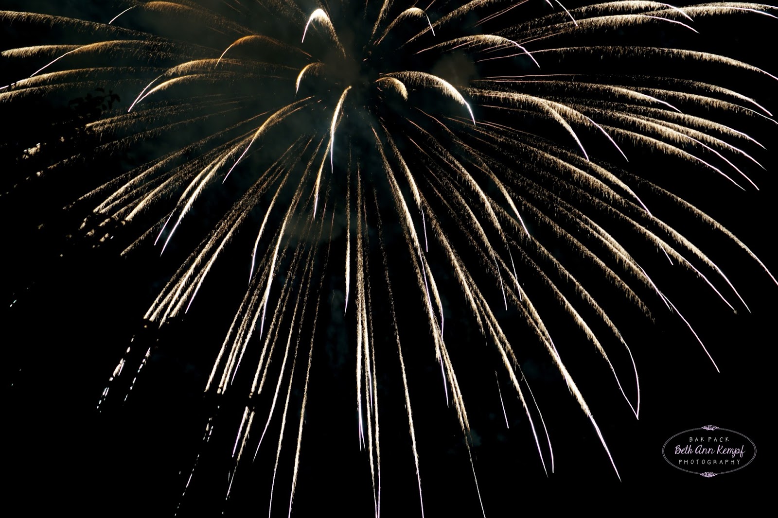 Holy Fireworks Batman!!! - BAK Pack Photography