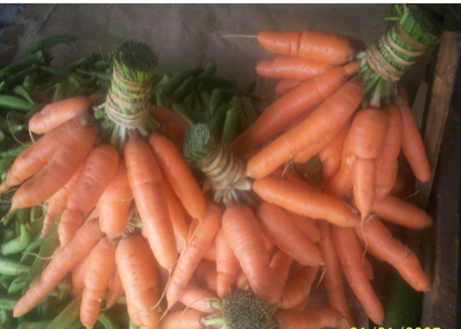 ABAS VEGETABLE SUPPLY COMPANY LIMITED