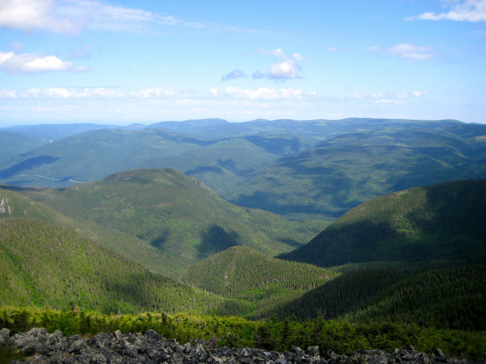 #15 - Mont Albert (le tour) - Parc national de la Gaspésie | Le ...