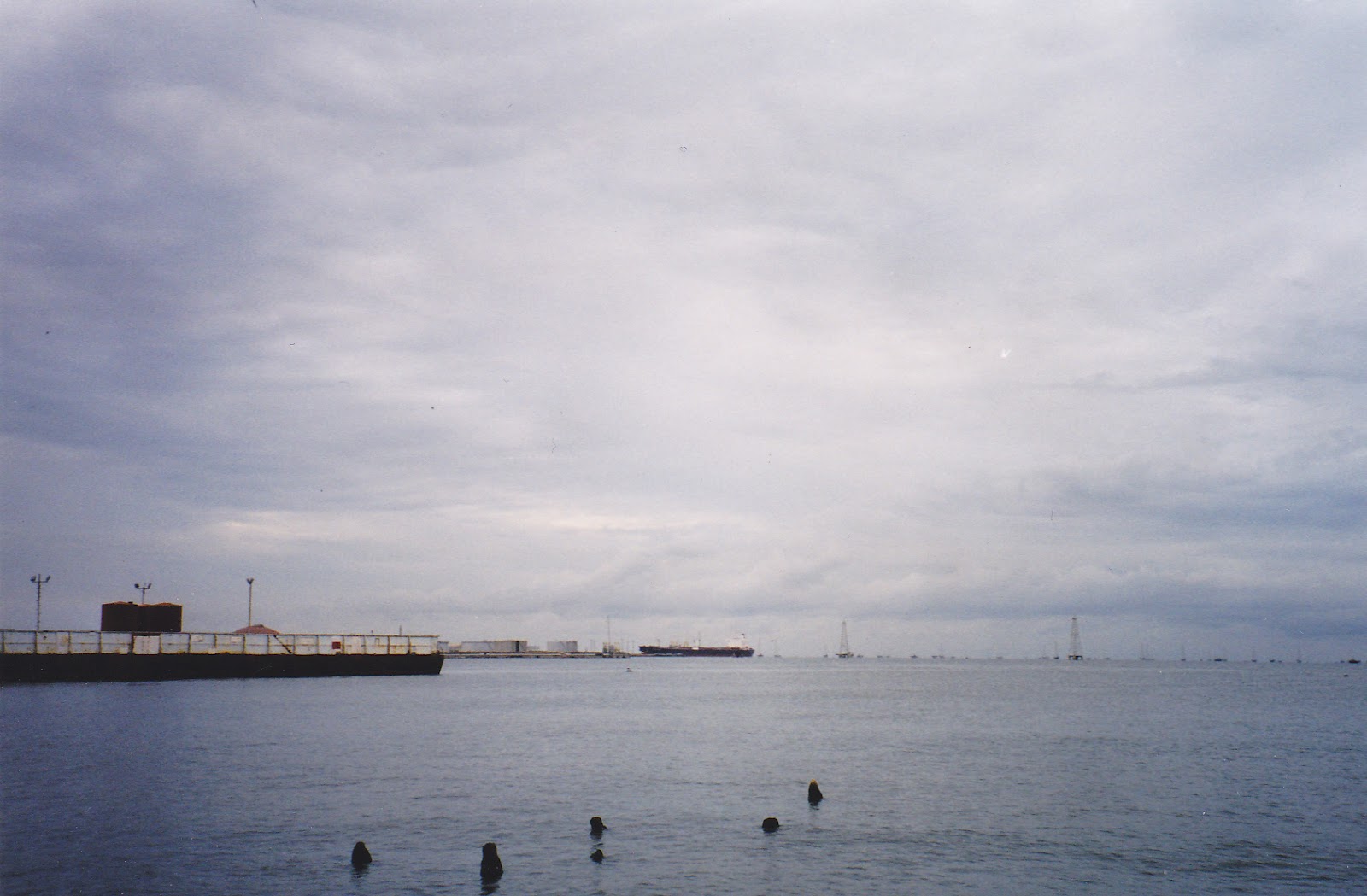 Petroleum Insights: Venezuela, Maracaibo Basin: Wells and Pumps