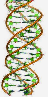 Josie Hagen Ministries: The Takeover of the bloodline Nephilim takes us ...