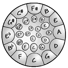 INSTRUMUNDO Instrumentos Musicales: Steel Drum, Steel Pan, Pan, Tambor ...