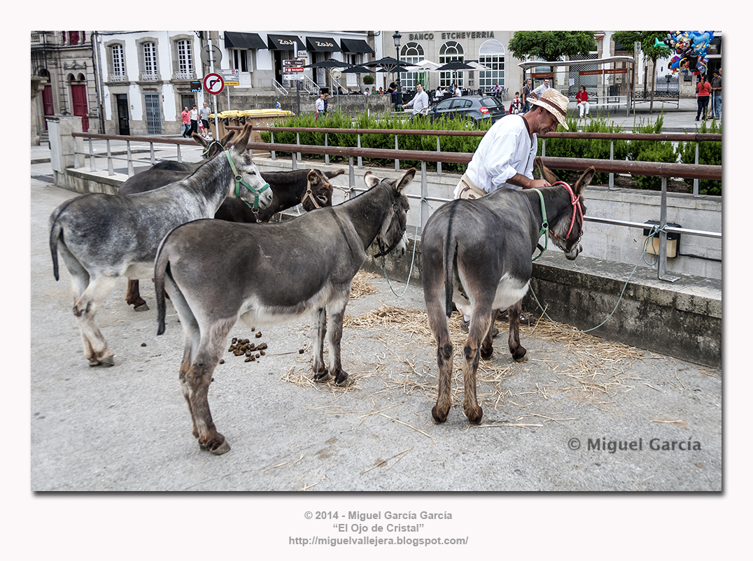 La Recua. | El ojo de cristal. Fotografía Amateur.