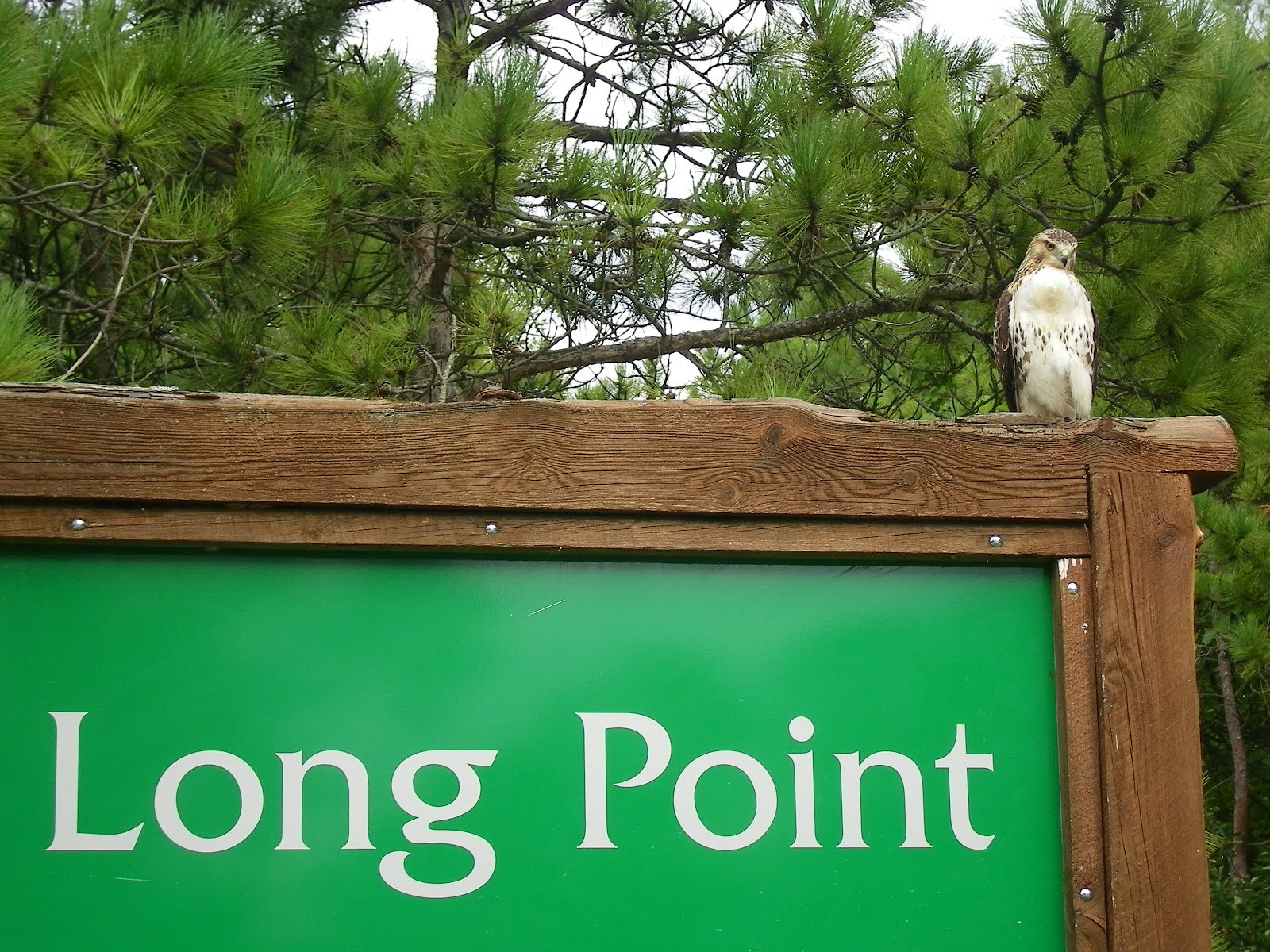 Arista Ramblers: Port Burwell, August 10-12 2012