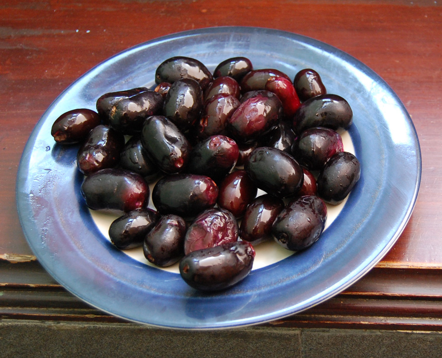 Tips hidup sehat: Banyak manfaat pada buah jamblang