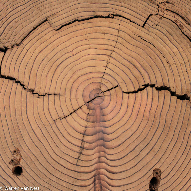 Touch the wind...: Tree-Ring Lab Tour