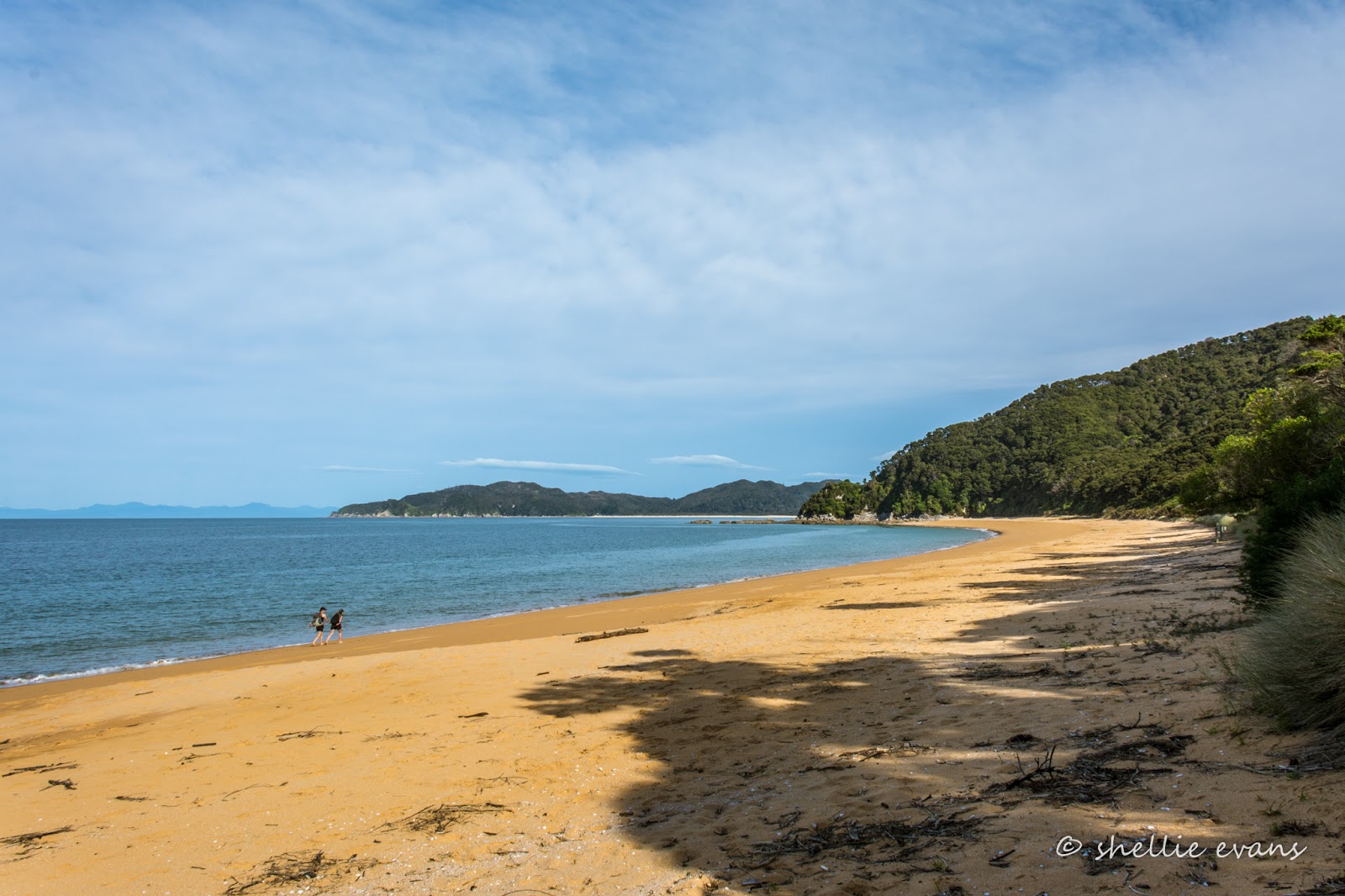 Two Go Tiki Touring: Totaranui- Bird Paradise