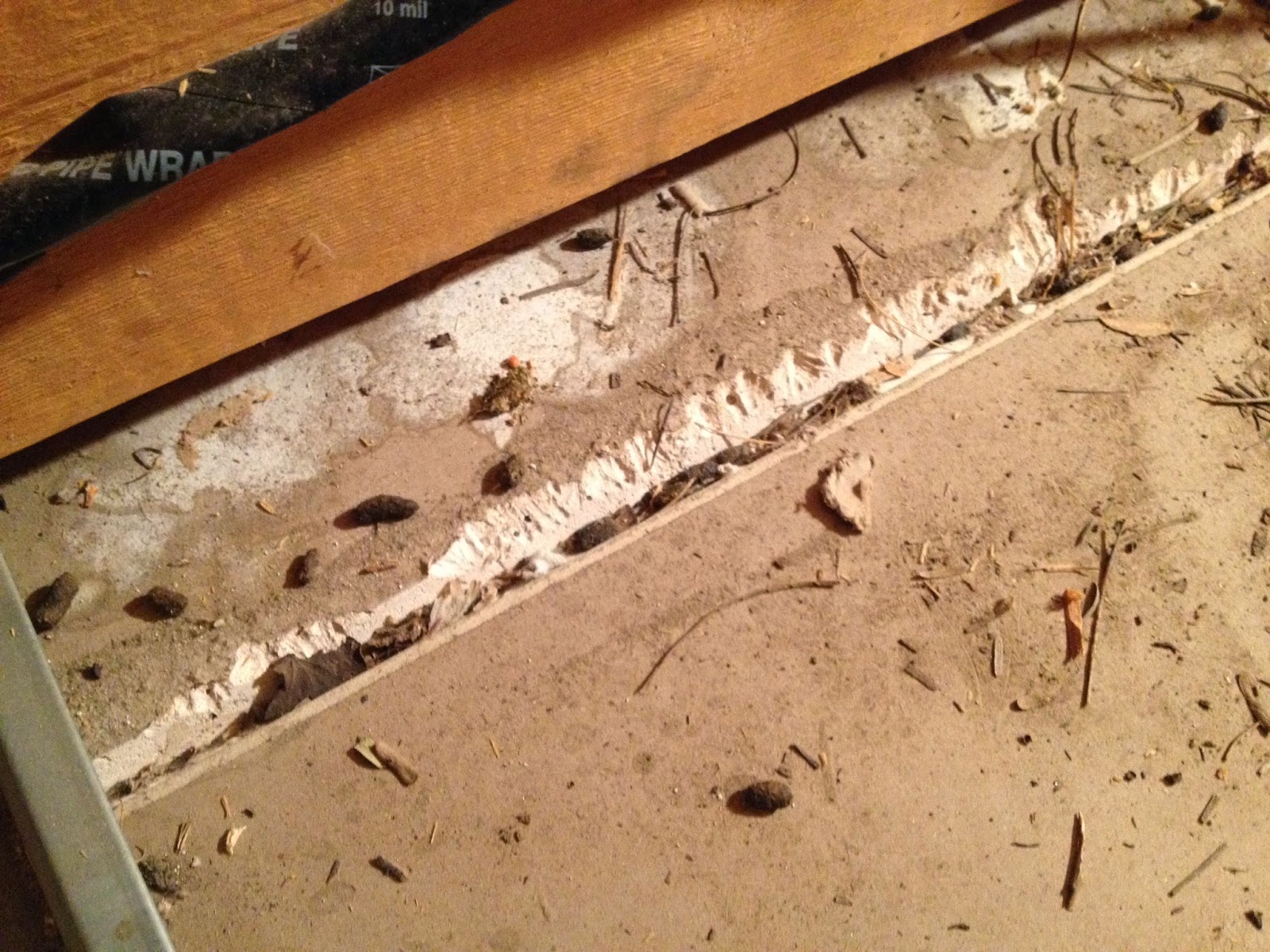 Mr. Pack Rat: Cool Nest - Attic