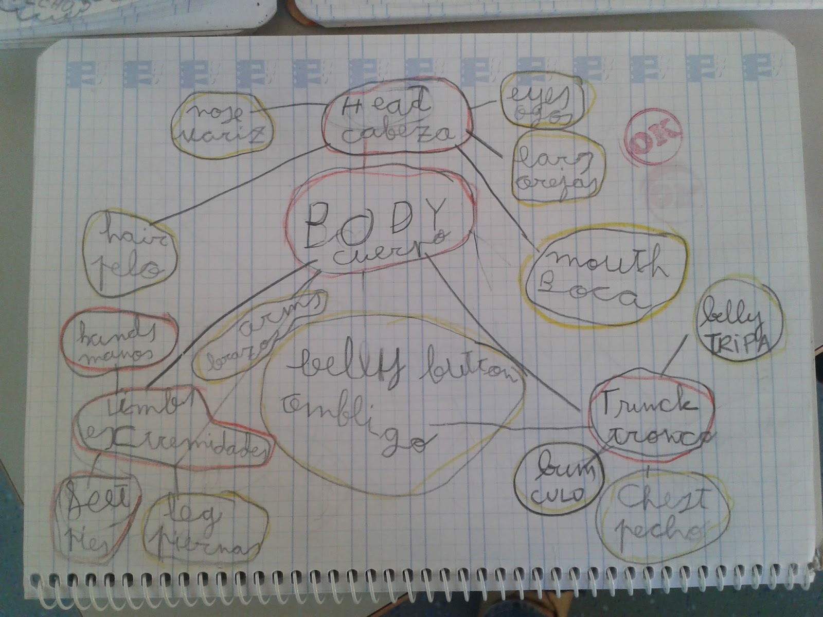 2º B (Eunate): Body parts: mind map