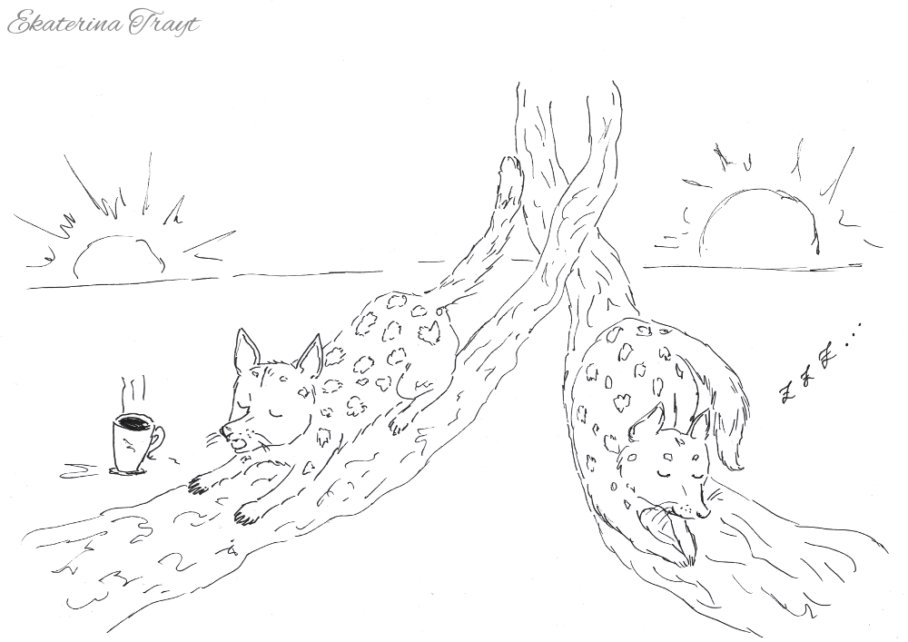Forest Lair: Art: Quolls, Cats and Quokka!