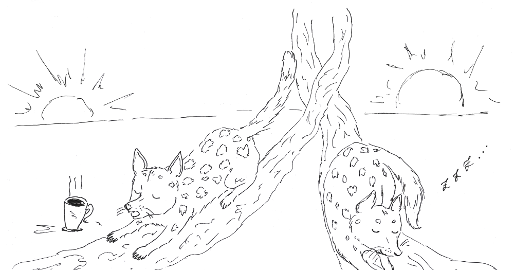 Forest Lair: Art: Quolls, Cats and Quokka!