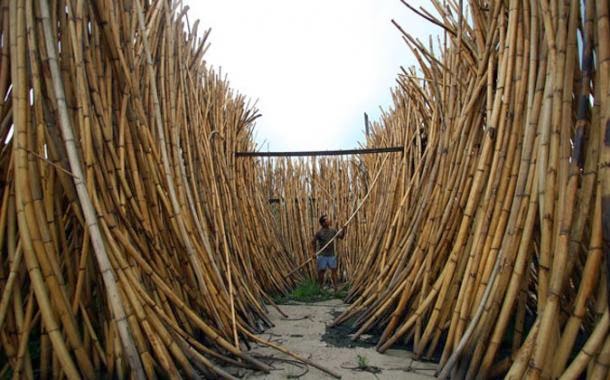 Rotan Hias
