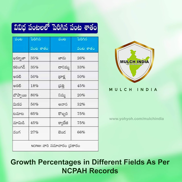 MulchIndia: Growth Percentages in Different Fields As Per NCPAH Records ...