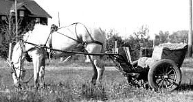 storybrookeripples: ox and dog blog: Bennett Buggy a.k.a. Anderson Cart