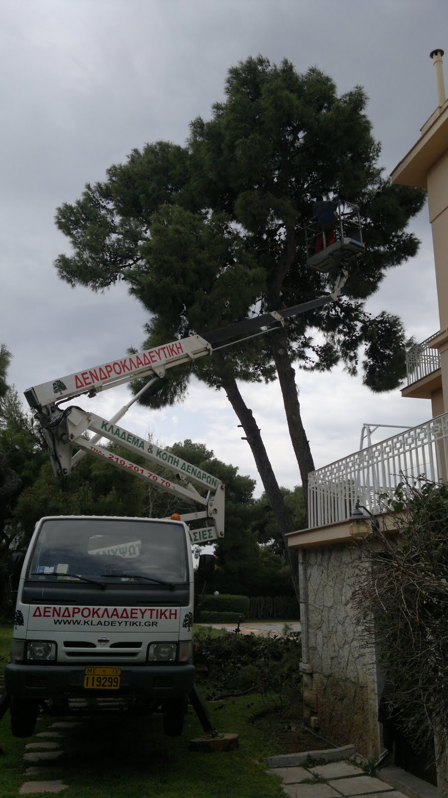 ΚΛΑΔΕΜΑ - ΚΟΠΗ ΥΨΗΛΩΝ ΔΕΝΤΡΩΝ