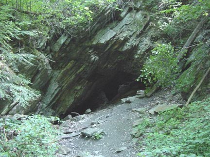 musings from the marsh...: The Garnet...