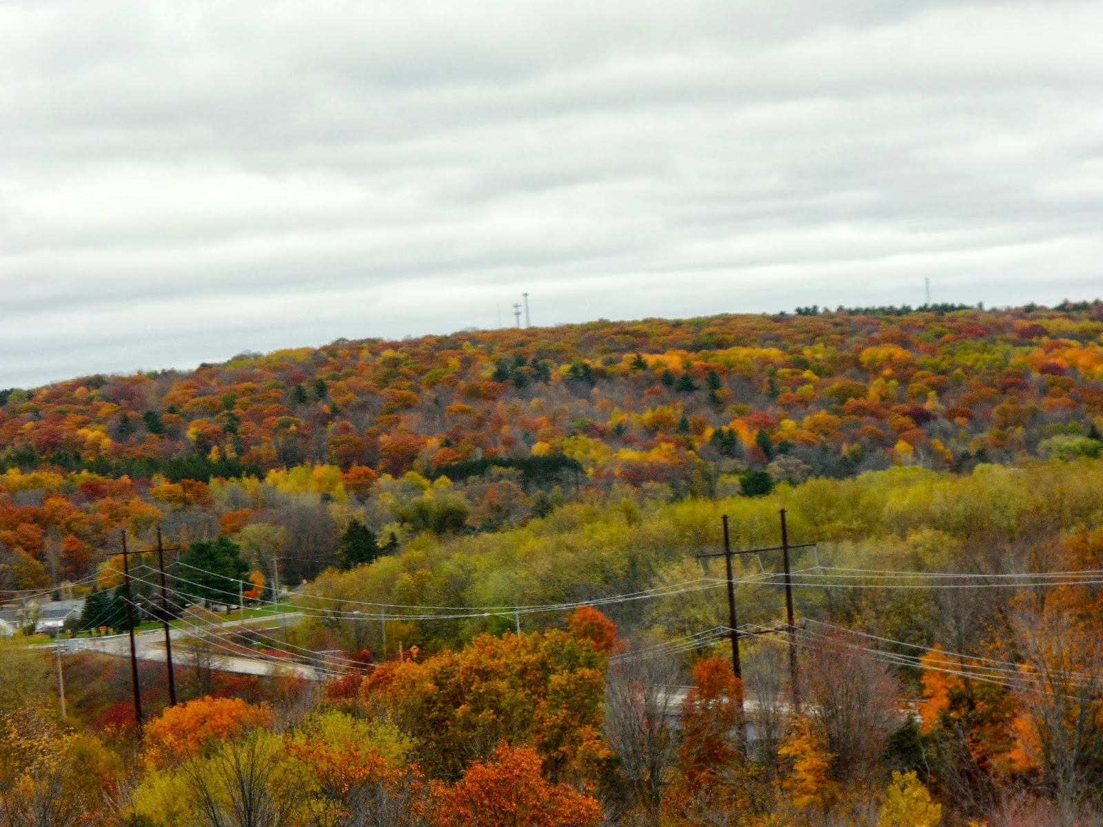 Art's Bayfield Almanac: NORTHERN WISCONSIN AT PEAK FALL COLOR, AND A ...