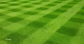 Lawn Mowing Patterns: How To Cut Grass Like A Pro - Best Manual Lawn ...
