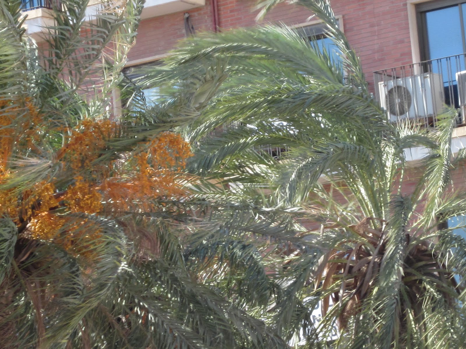 Viciclisme / Viciclismo: de febrer 2012