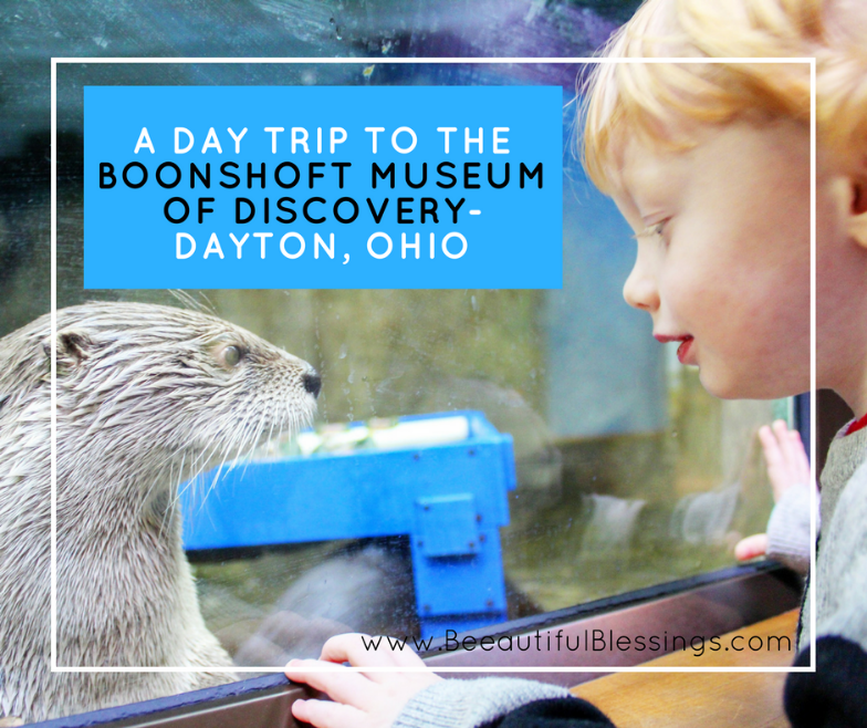 (Bee)autiful Blessings: Our Trip to the Boonshoft Museum of Discovery ...
