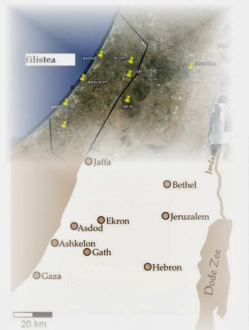 Historia, faro del presente. : 1/02/14 - 1/03/14