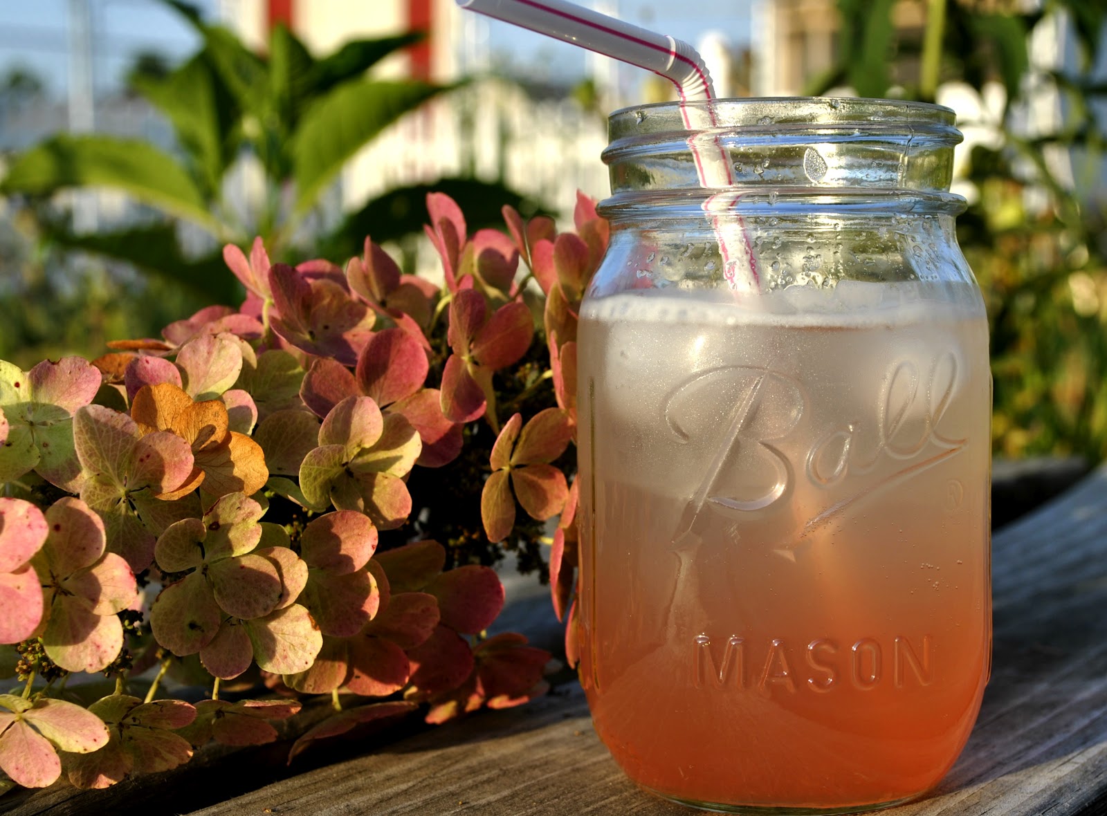 Back to Basics: Rhubarb Syrup