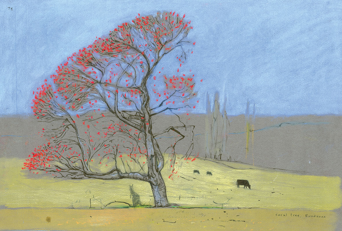 Illustration Inspiration - Shaun Tan | Sail & Swan