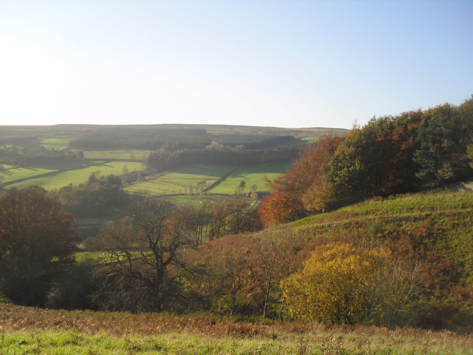 Rambling Nana: Wolsingham, Tunstall Reservoir Circular