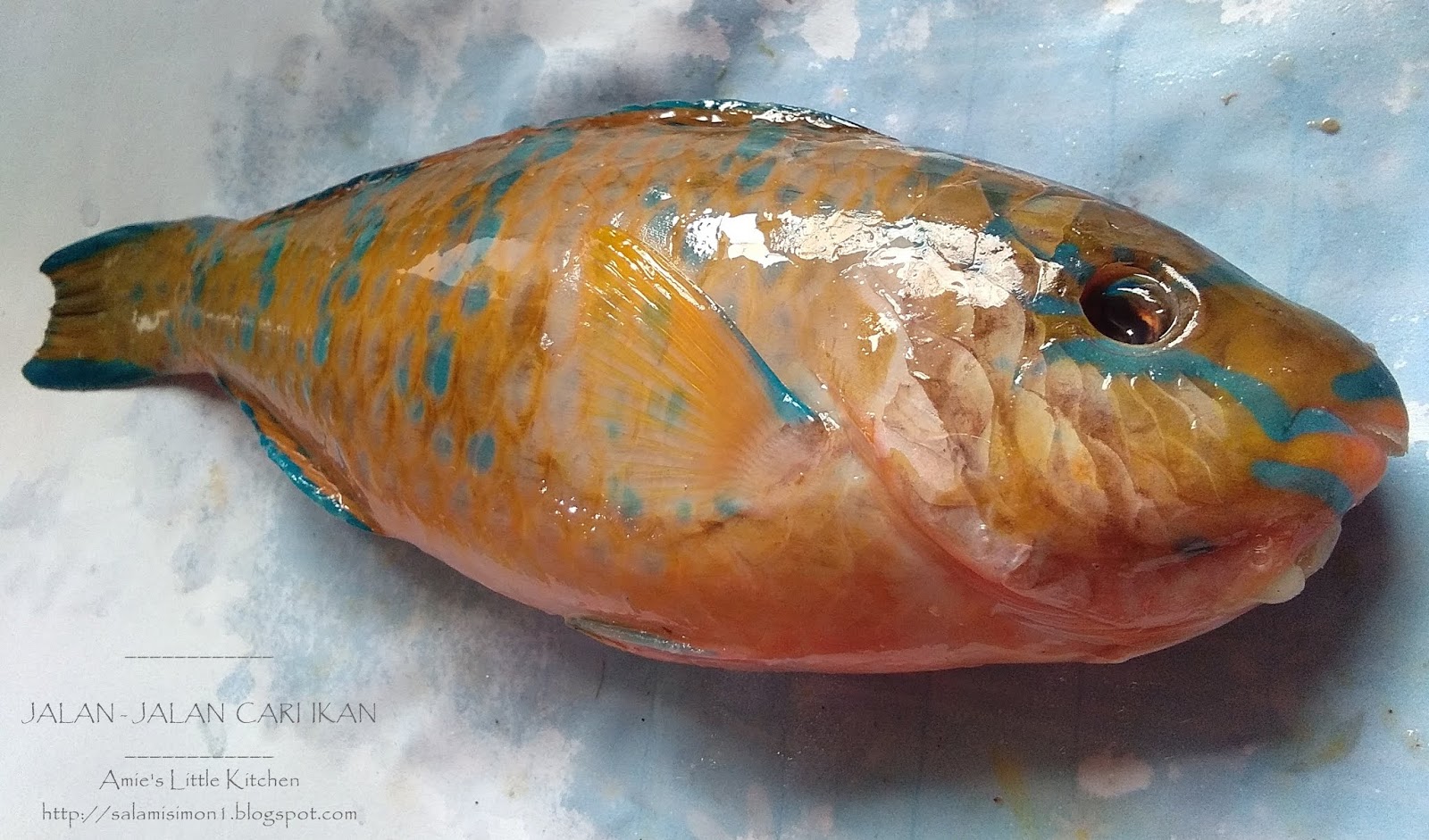 Kenali Pelbagai Jenis Ikan di Pantai Timur Sabah - Amie's Little Kitchen