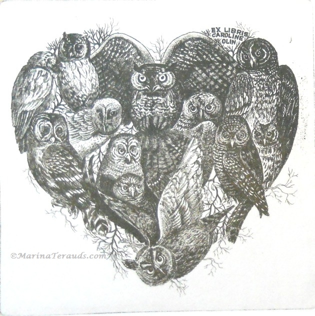 Terauds Studio: Owl Heart.