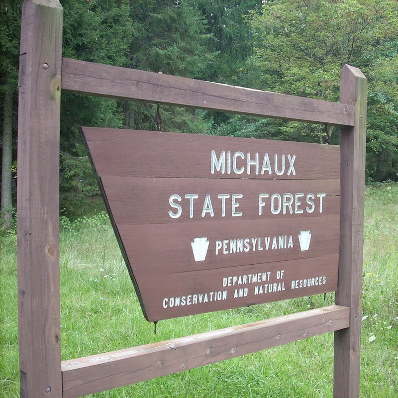Trip Report: Exploring Pennsylvania’s Michaux State Forest – East Coast ...