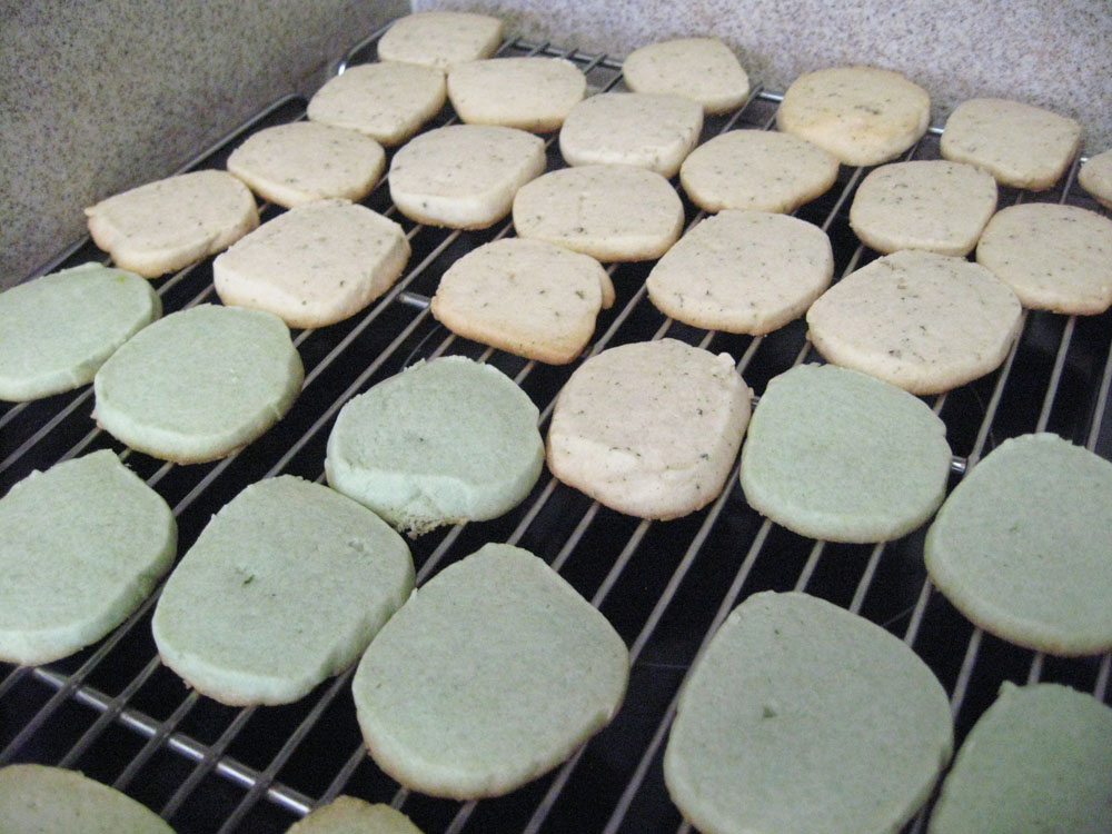 Mother Nature's Backyard - A Water-wise Garden: California Gourmet ...