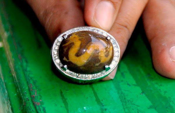 Harga Batu akik janggus bergambar naga Rp. 18 miliar | Majalah Akik