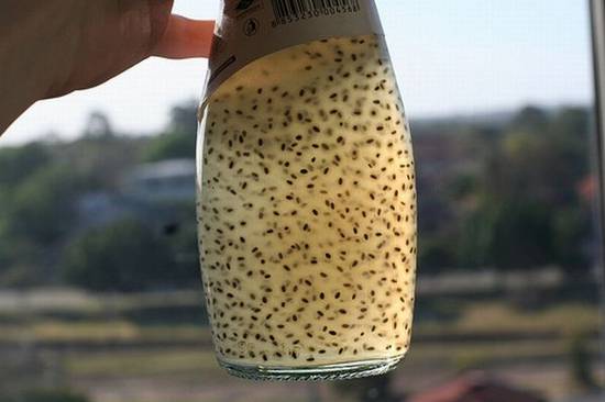 Weird Drinks And Cocktails ~ Unbelievable Stories From Everywhere