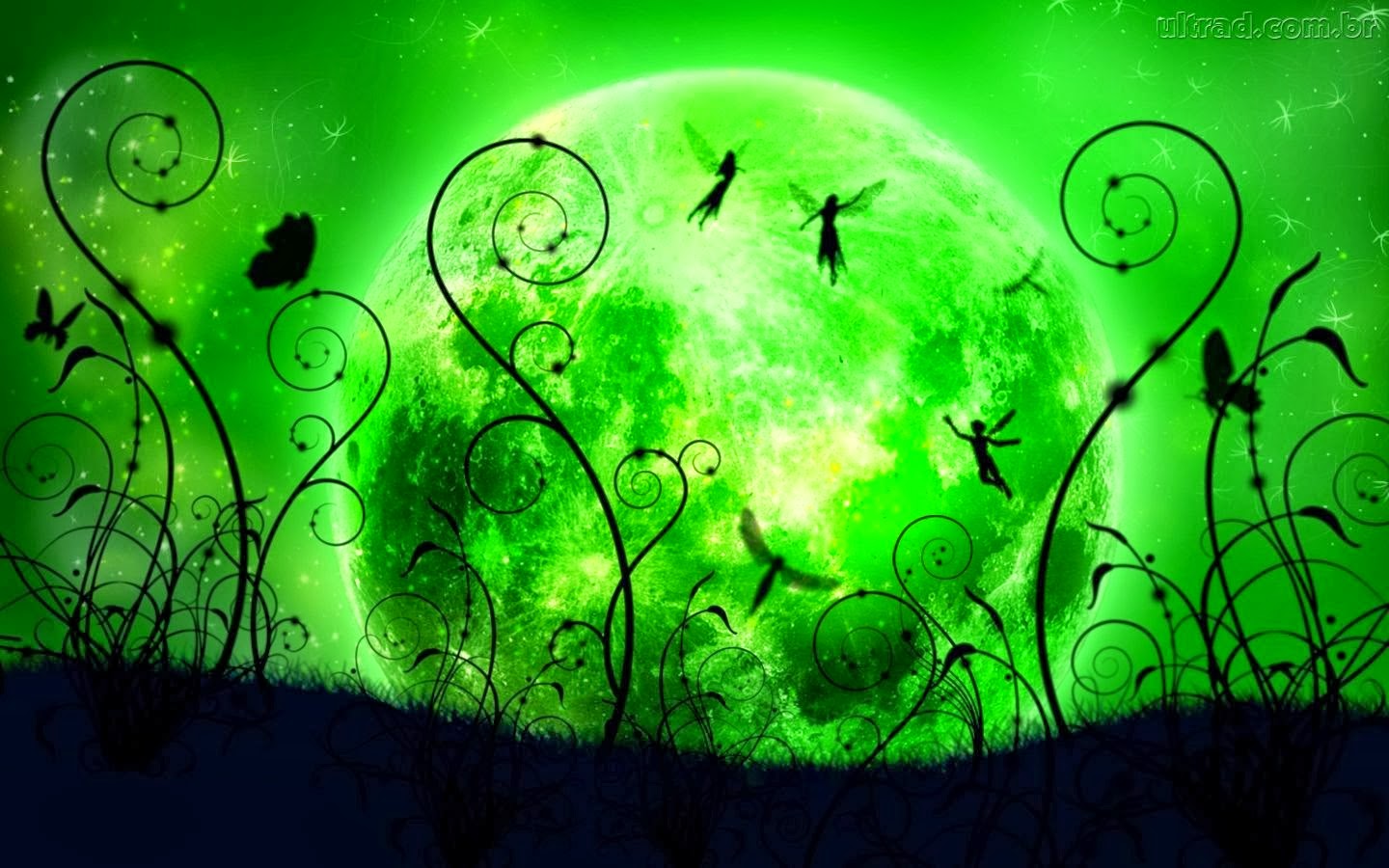 TVL: O Espetacular Mundo da Fantasia