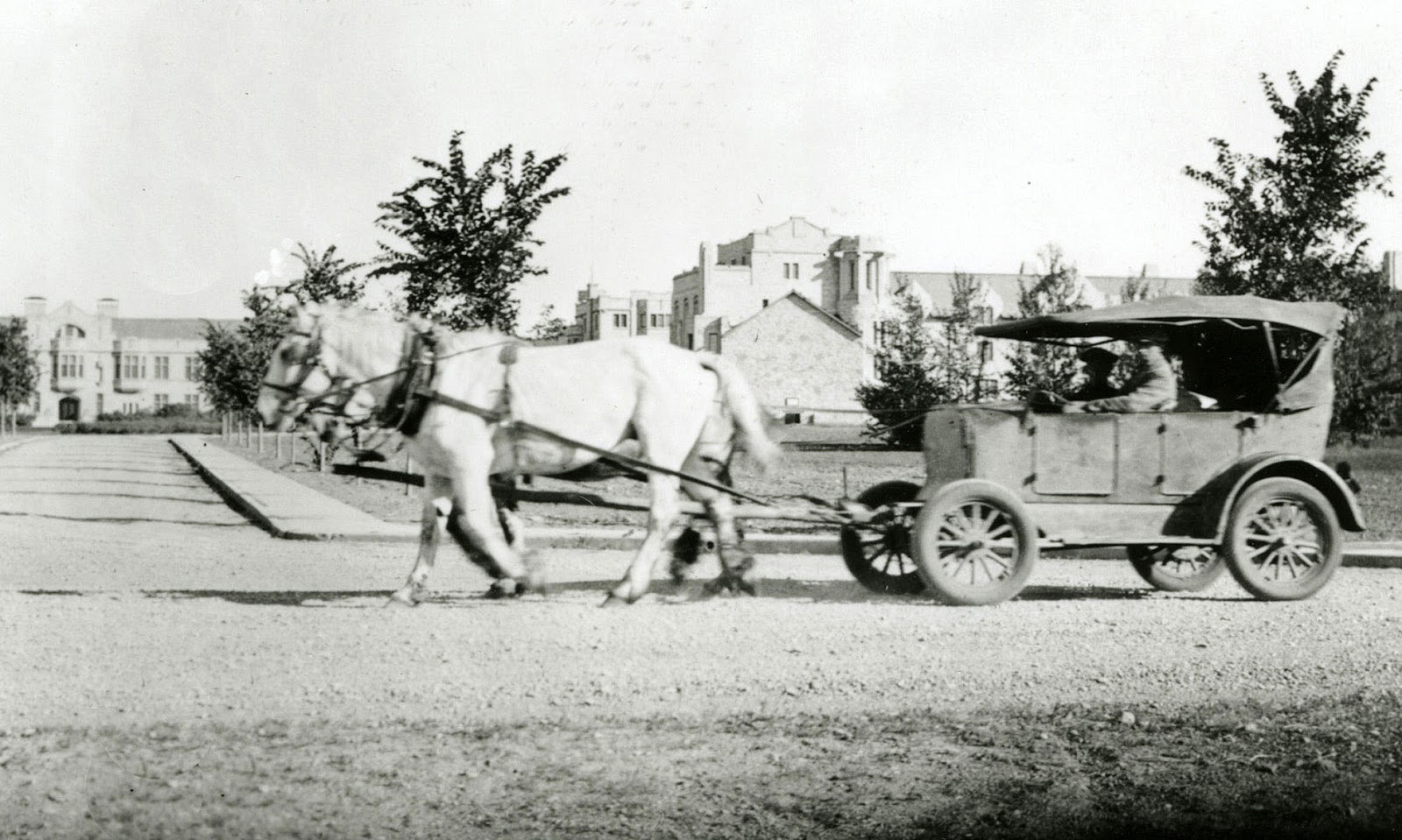 Progress is fine, but it's gone on for too long.: Bennett buggy