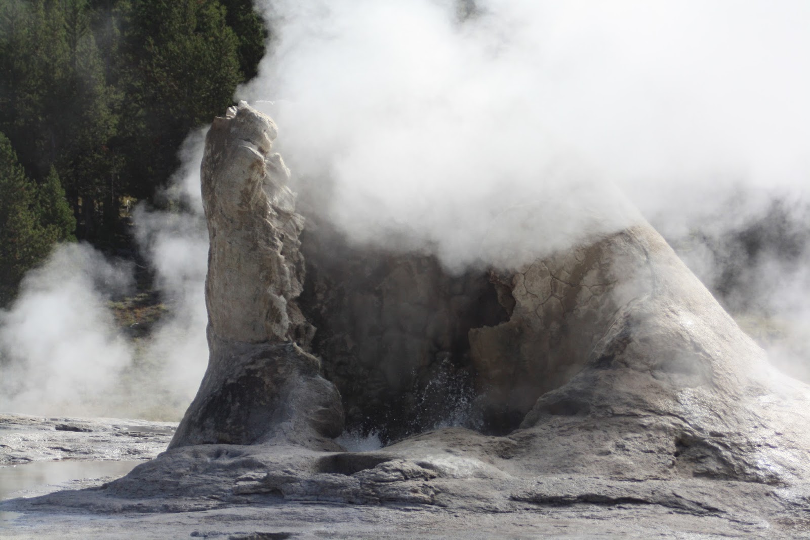 Nomadic Newfies: Yellowstone Flashback - Geysers Galore