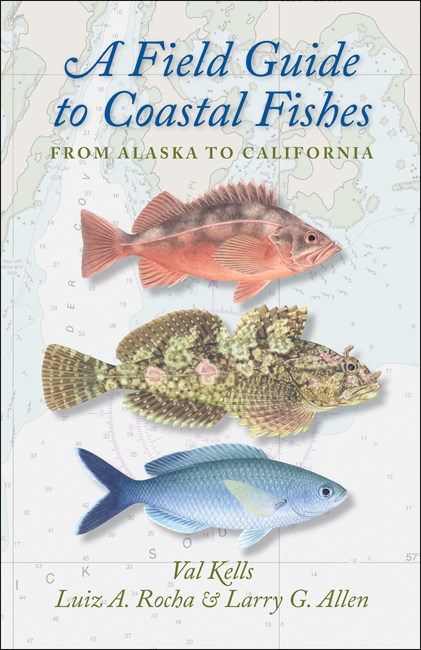 Succotash Book Reviews: Field Guide to Coastal Fishes