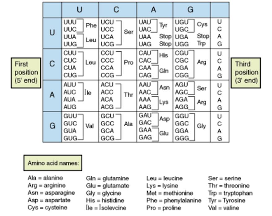 GENETICA ON LINE: Março 2012