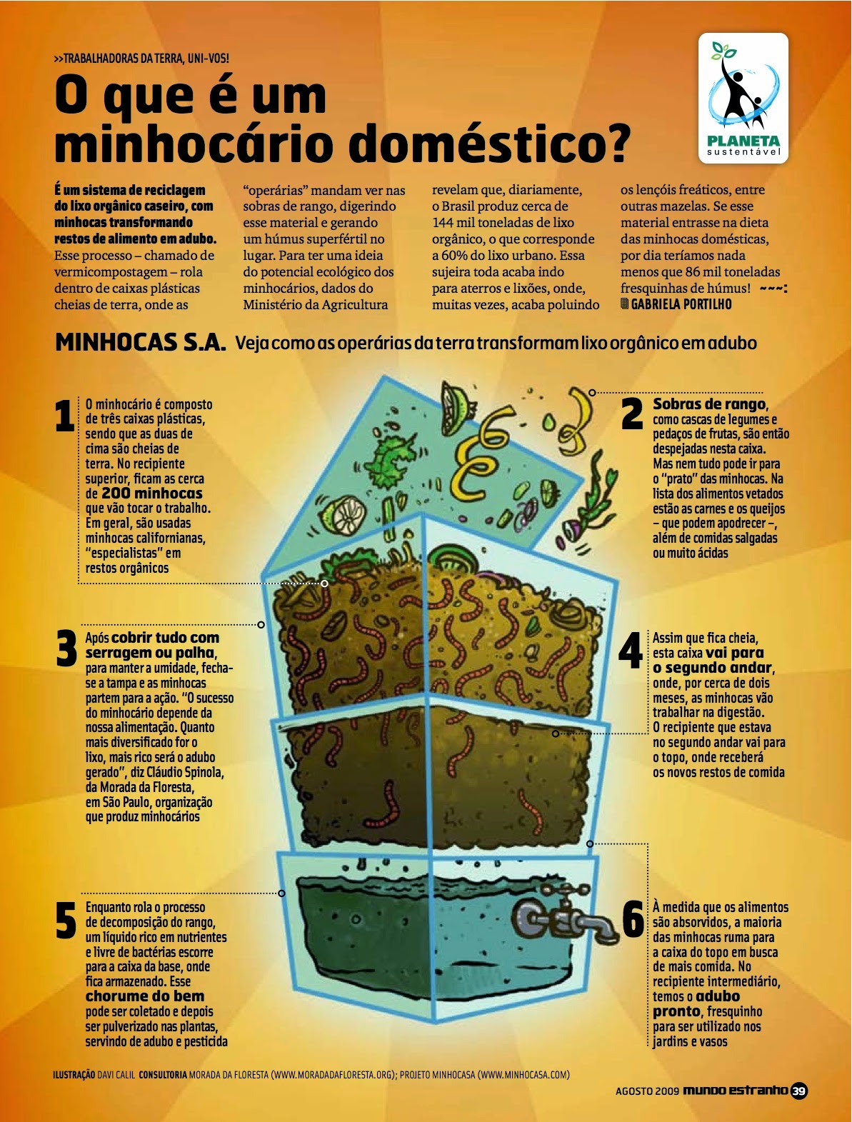 BIOLOGIA com o professor Léo Santana: O que é um minhocário doméstico?