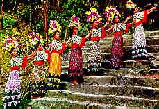 THE PILIPINO PRIDE: Native Dances