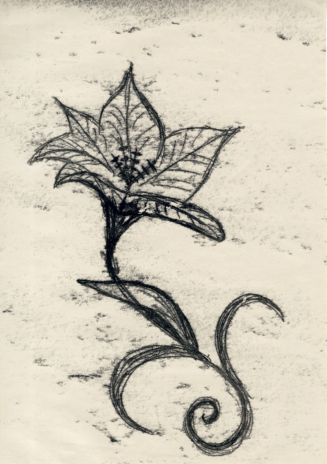 Josie Maskell Design: flower monoprints