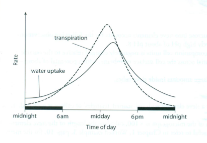 #42 Summary of Transport in multicellular plants | Biology Notes for A ...