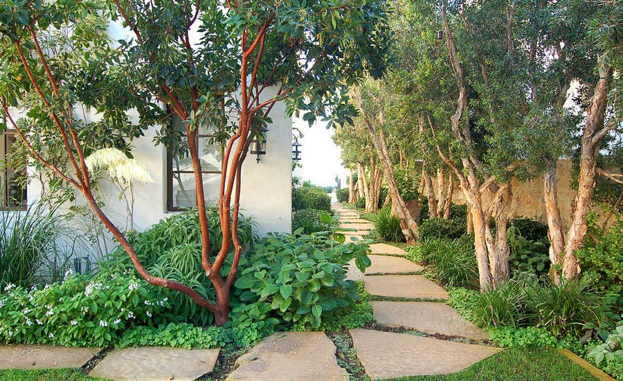 the garden: Art Luna Garden