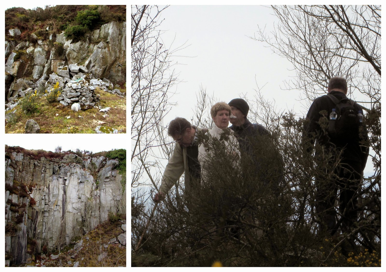 The Glebe Blog: Creetown to Kirkmabreck Quarry - Wigtown Walks and Talks