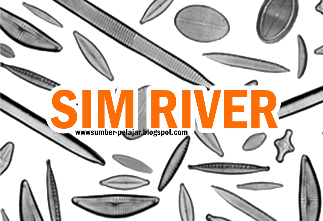 Makalah Sim River Diatom