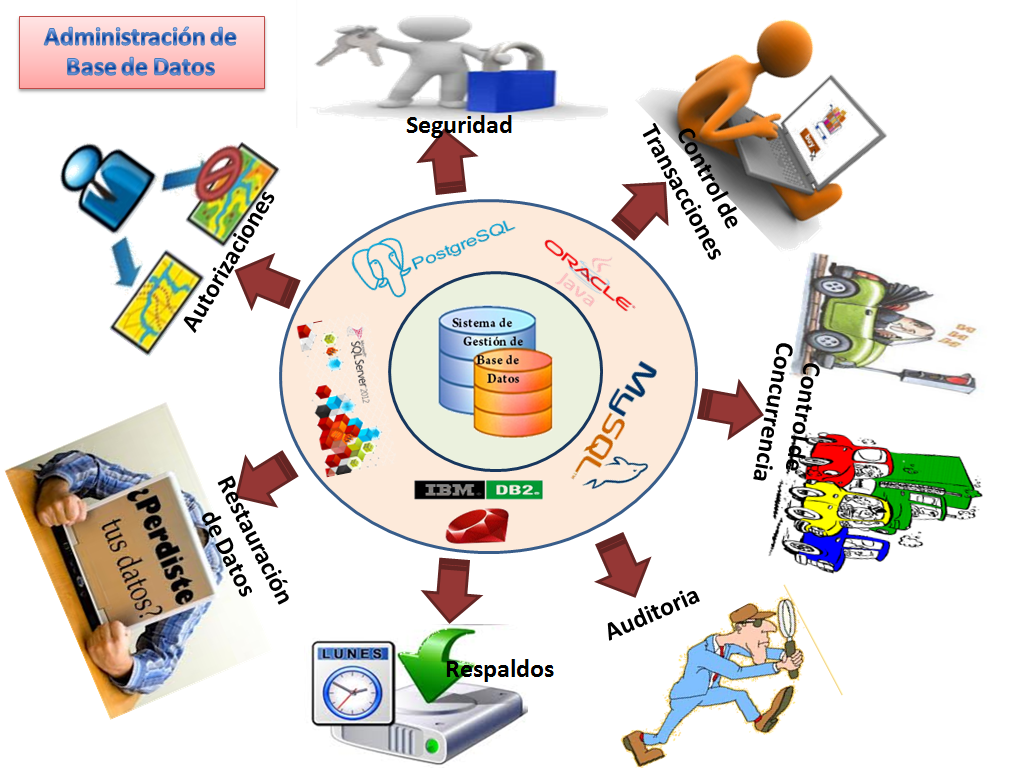 Administración de Base de Datos: La administración y las bases de datos